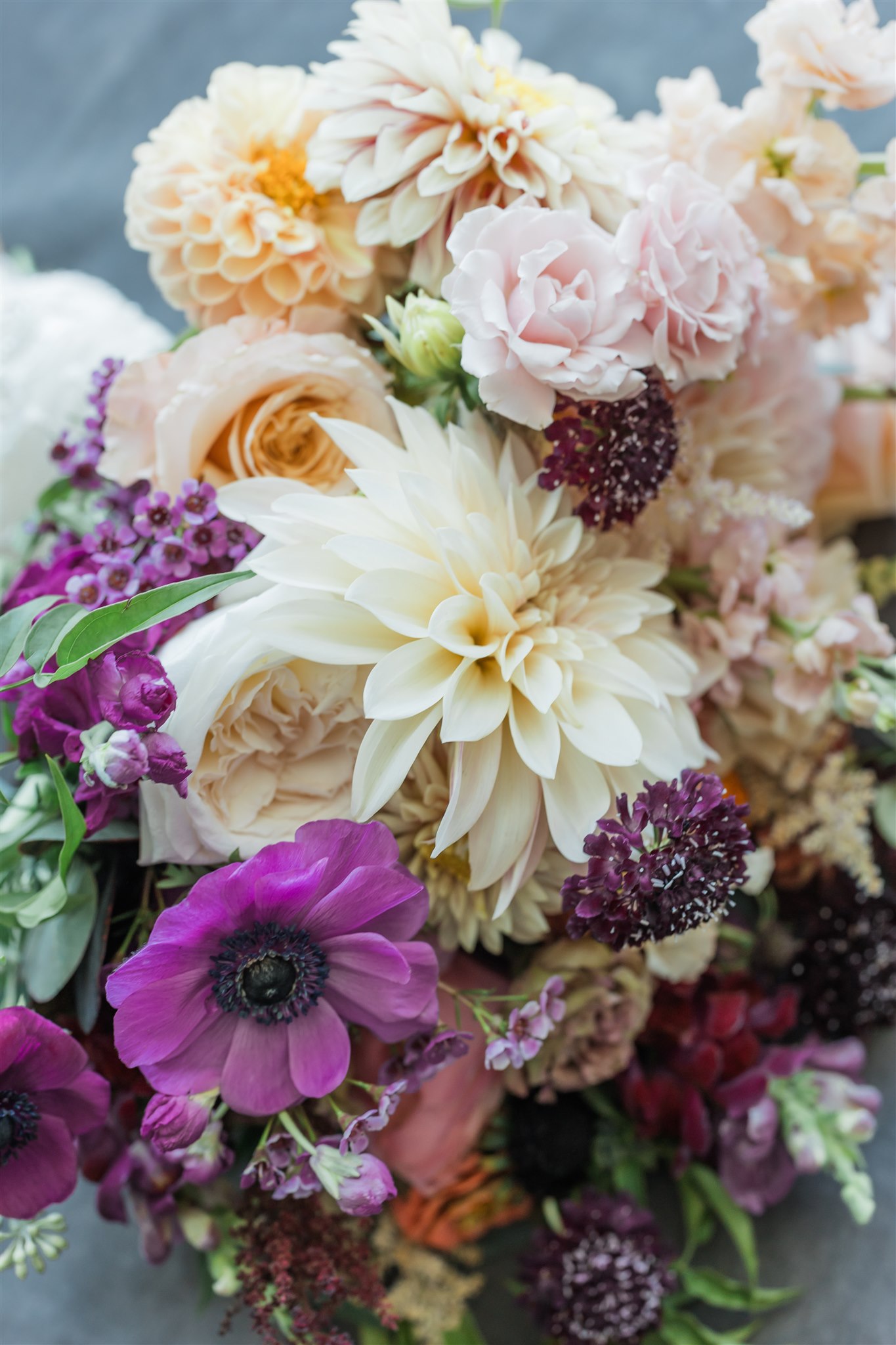 Summer PPG Wintergarden Wedding - Steven Dray Photography